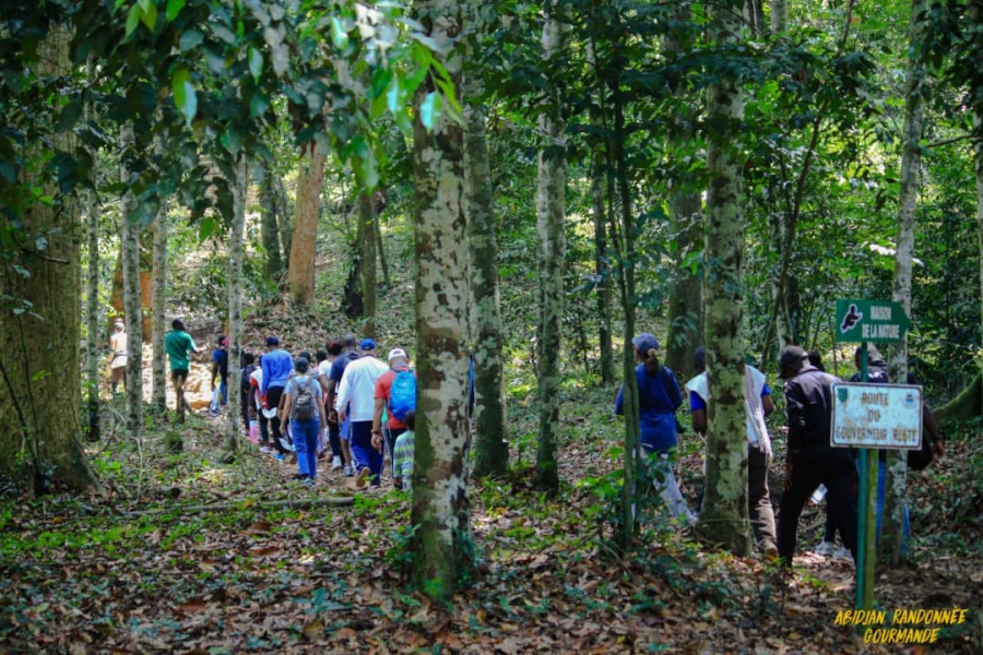 Ecotourisme: Près de 150 personnes prennent part à une randonnée dans ...